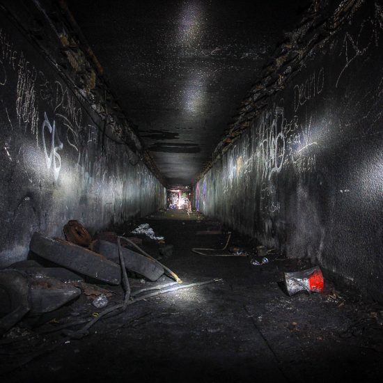 Inside Barnton Quarry - Julie McDowall